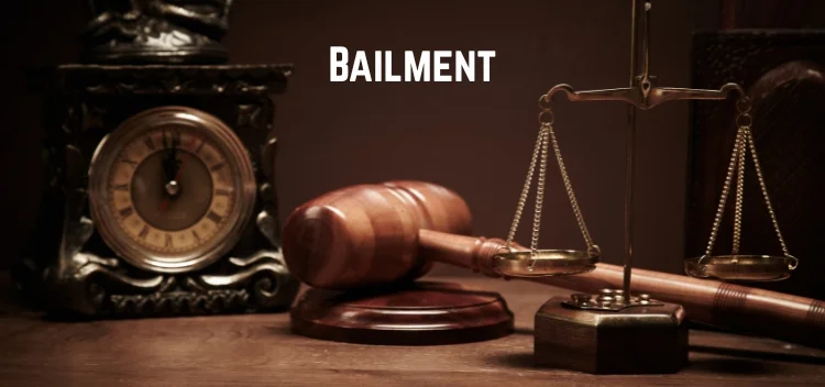 Legal Blog Vidhikarya - Exploring the Various Kinds of Bail…
